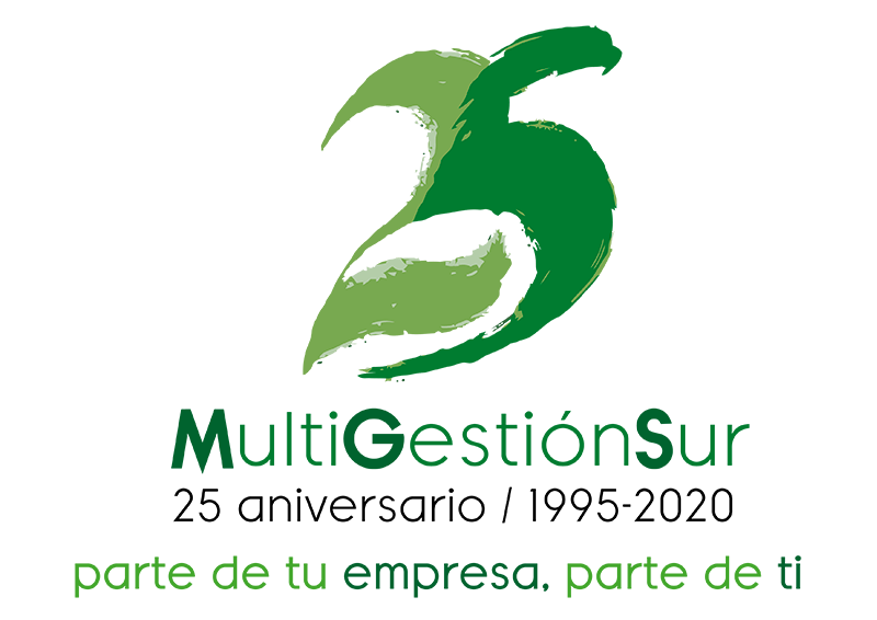 MGS-25-ANIVERSARIO | MultiGestionSur